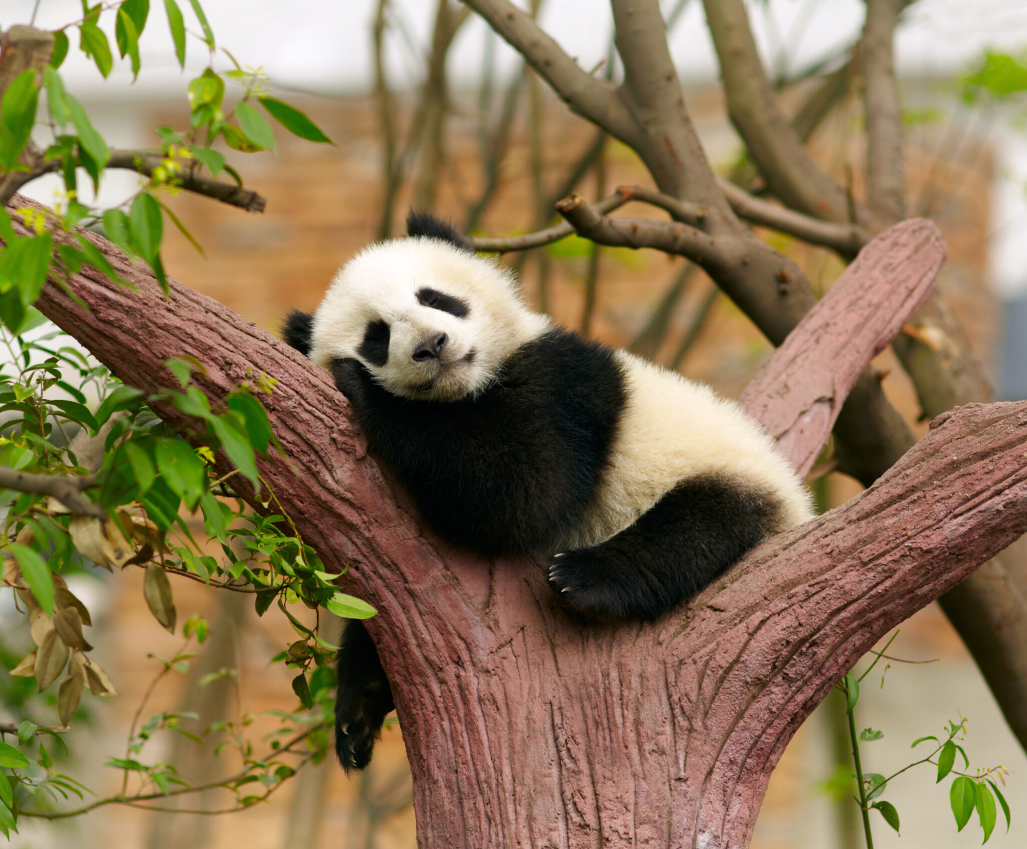 China Tours & China Vacation Trips | China Explorer Tour