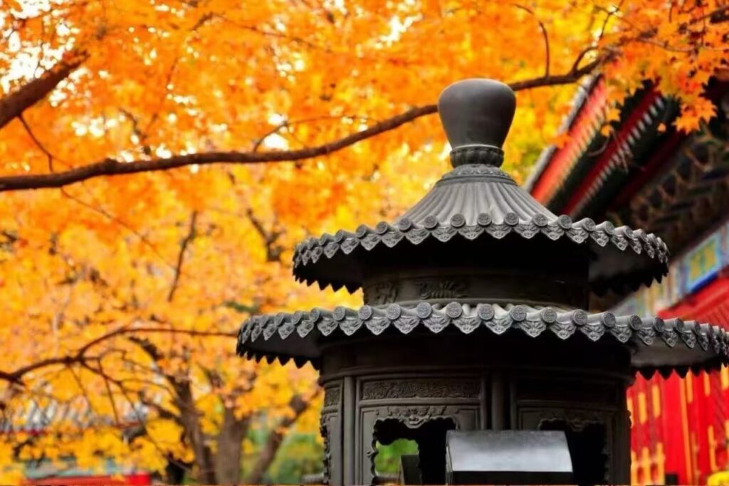 Top Things to Know Before Visiting Fragrant Hills Park