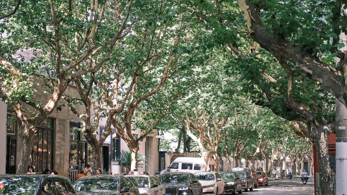 Walk like a local in Shanghai Former French Concession