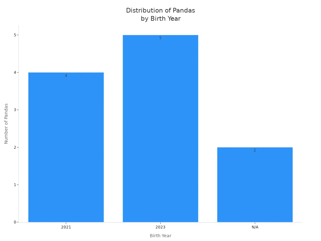 Your Step-by-Step Guide to Visiting Chongqing Zoo and Panda House