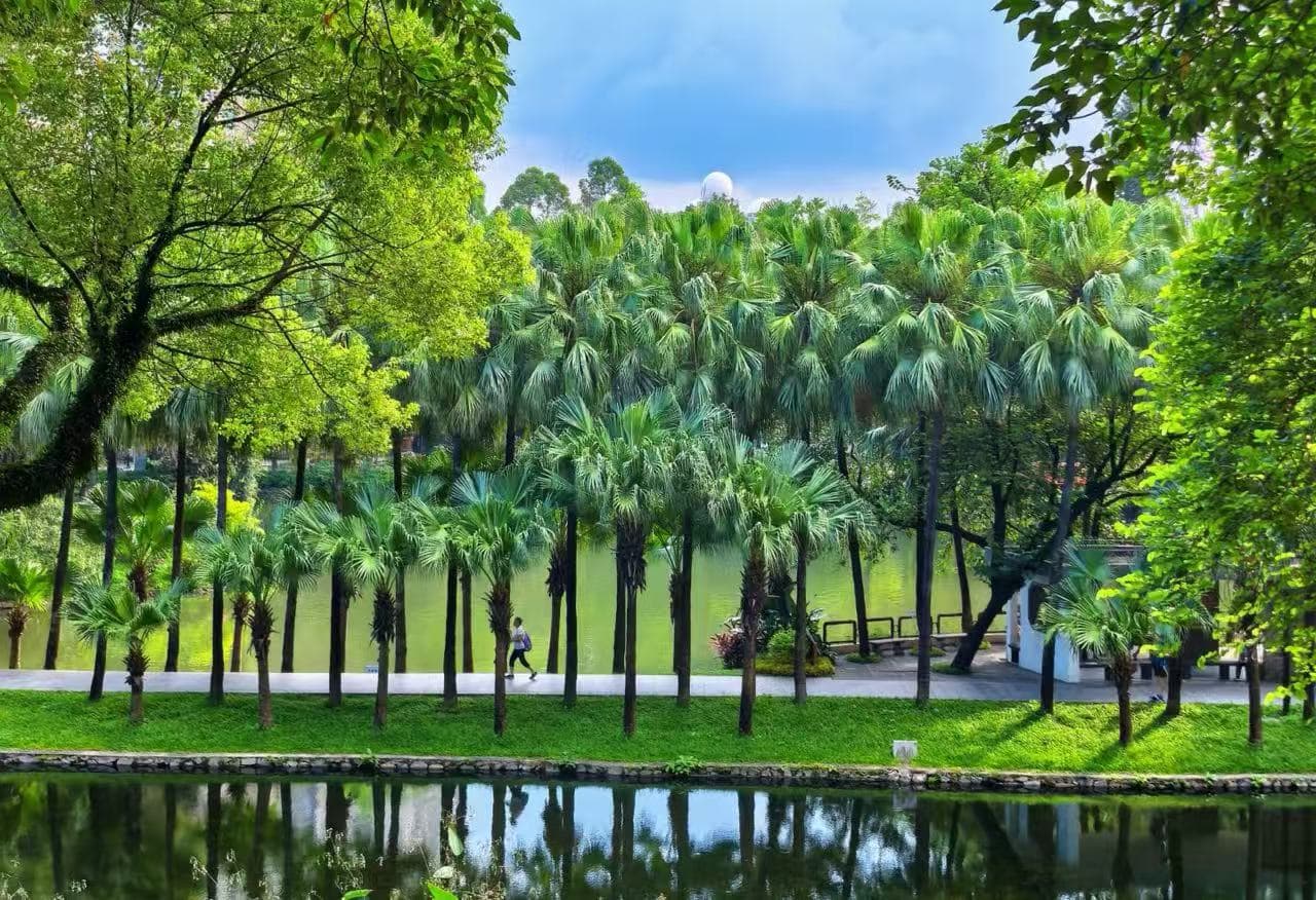The Ultimate Walkthrough for Yuexiu Park and Five Rams Statue