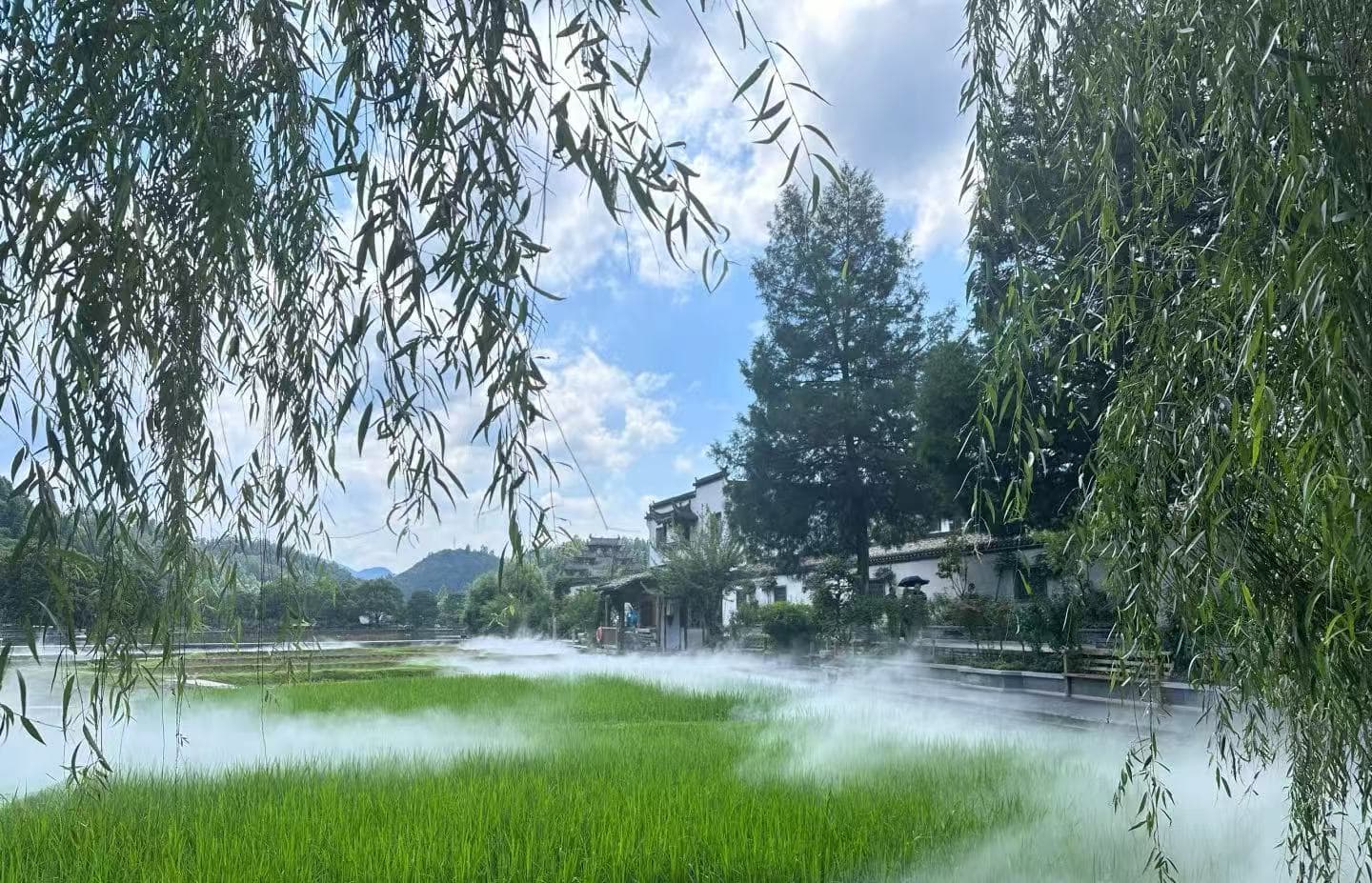 Discover the Hidden Charms of Hongcun and Xidi Villages