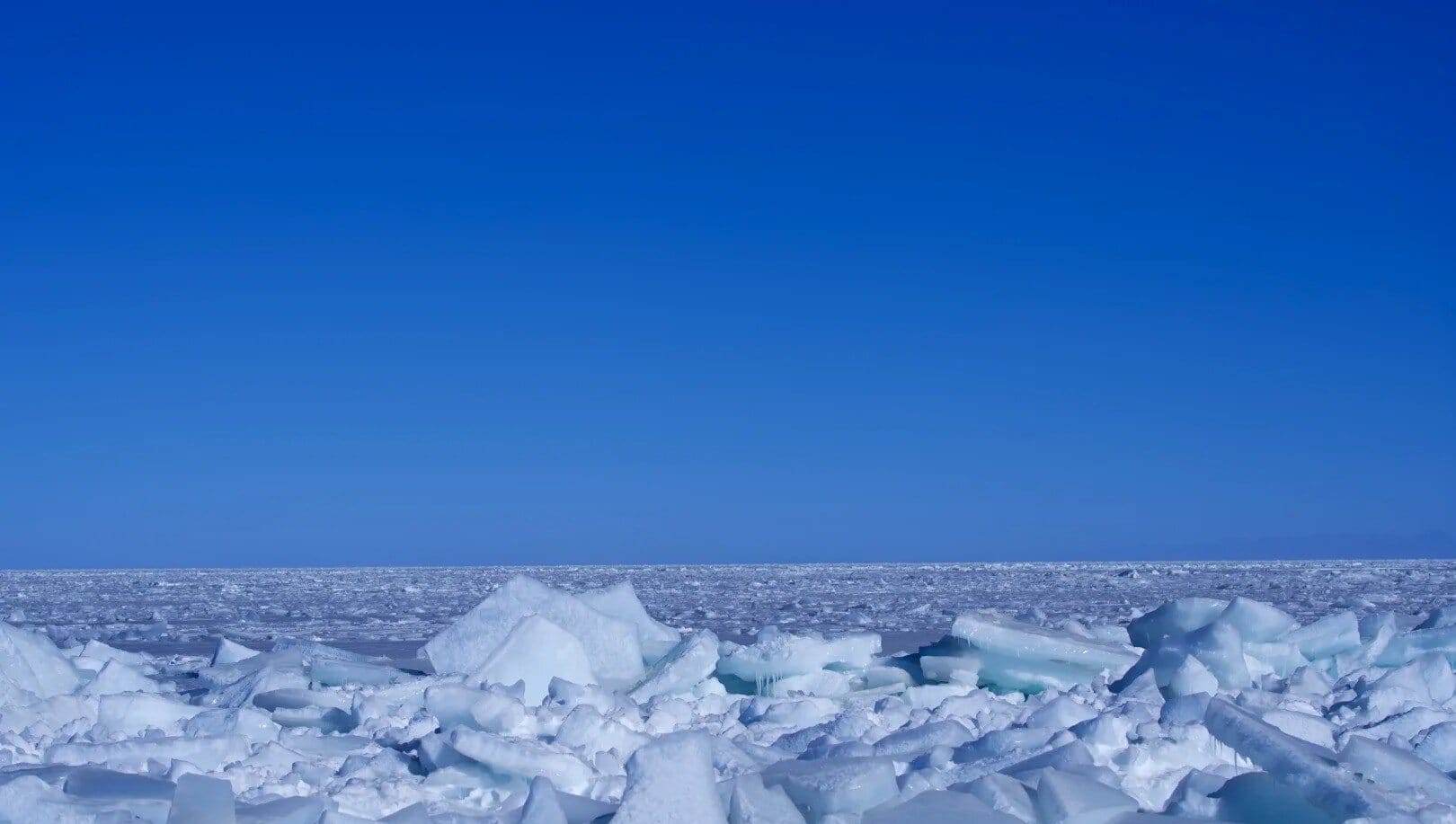How to Explore Qinghai Lake Like a Local